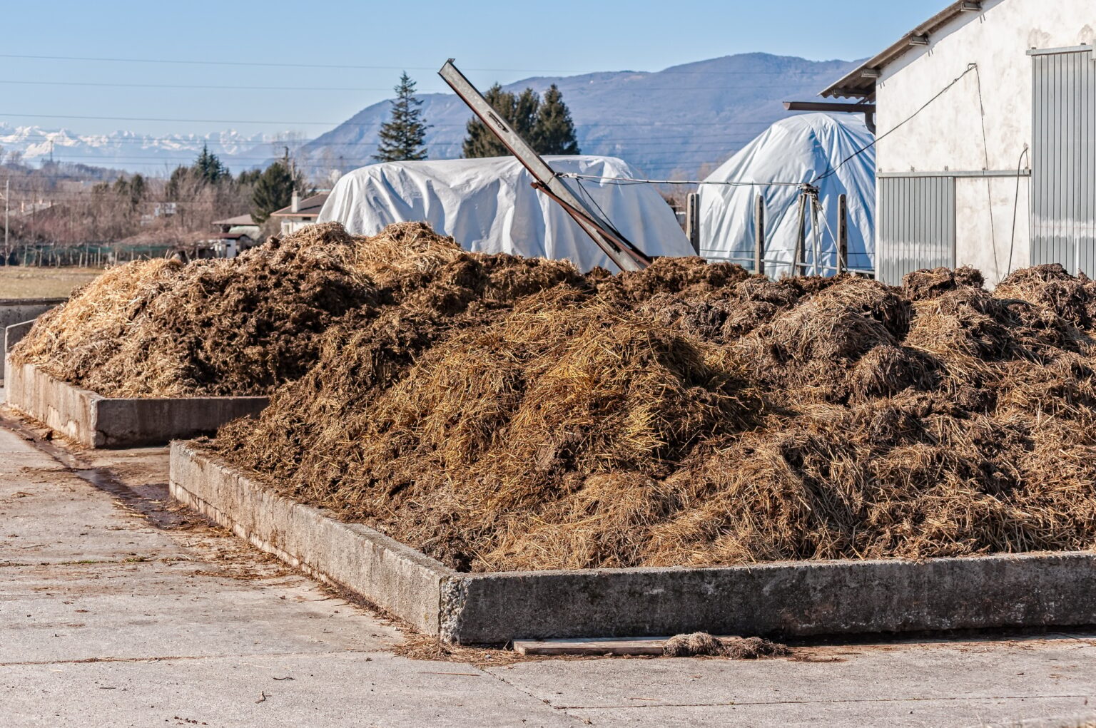 Guide complet : comment utiliser le fumier de cheval au jardin